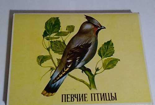 Спички сувенирные Певчие птицы СССР