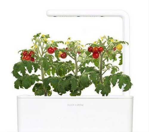 Умный сад Smart Garden Click and Grow