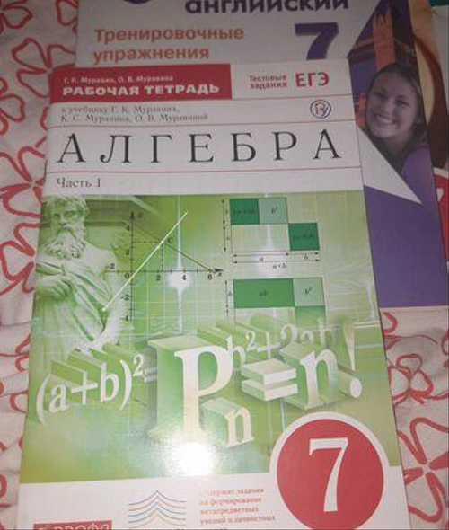 Муравин, Муравина: Алгебра 7 класс. Раб тетради