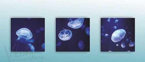 Модульная картина «Медузы»(из 3х частей)