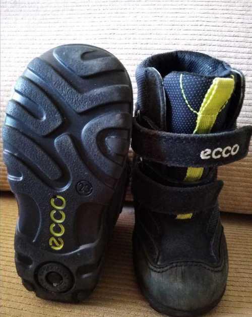 Сапожки Ecco, gore-tex, р-р 23