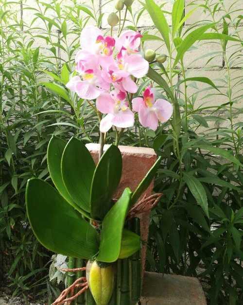 Искусственный цветок орхидея на стену