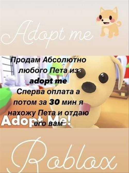Петы в adopt me