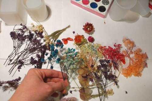Сухоцветы для рукоделия и творчества