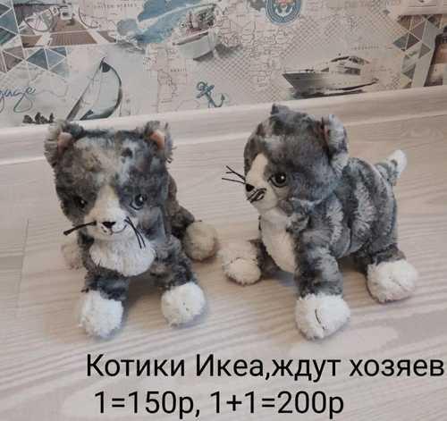 Кот Икеа