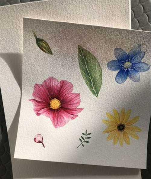 Картина акварель цветы