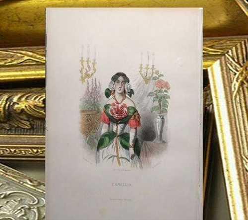 20 Антикварных гравюр Цветы Гранвиль 1847