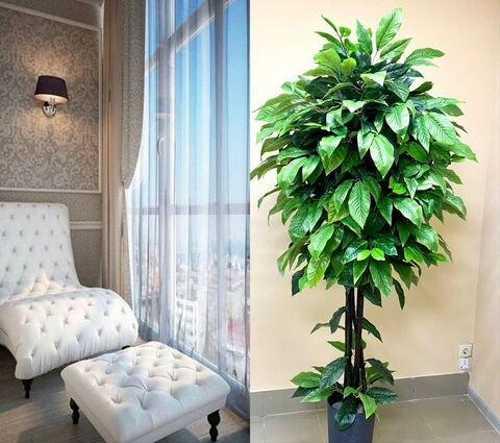 Манго Зеленый Шар - искусственное растение