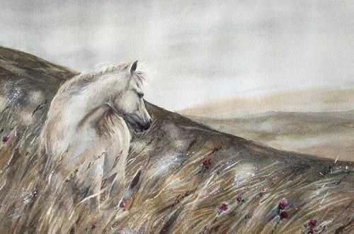 Картина белая лошадь в поле 30х40. Пейзаж природа