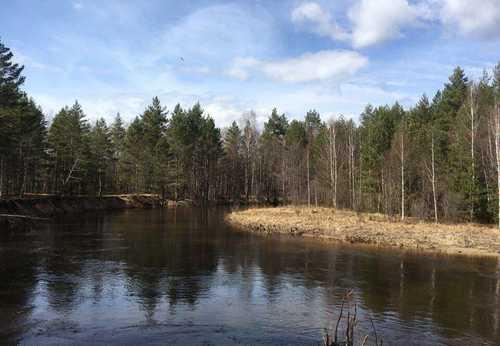 Сплав по реке Илеть