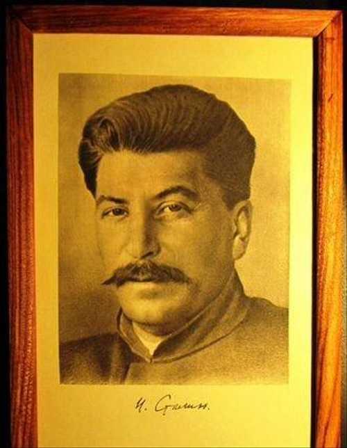 Портрет Сталина в поле. Х б сталин
