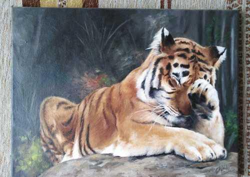 Картина маслом "тигр"