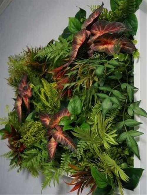 Картина из искусственных растений в рамке