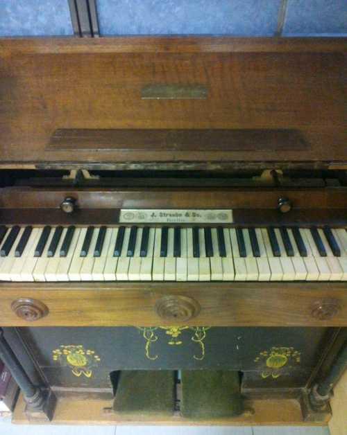 Физгармонь