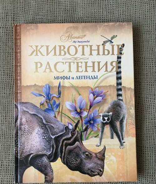 Мифы и правда об обрезке роз как не ошибиться в уходе за цветком.