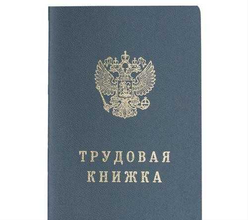Трудовая книжка чистая ТК - V (5)