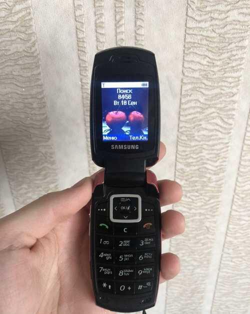 Телефон Samsung SGH-X510