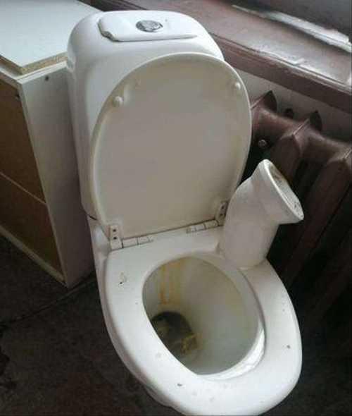 Унитаз бу бесплатно