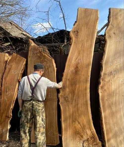 Слэб спил карагач дуб тополь клен граб