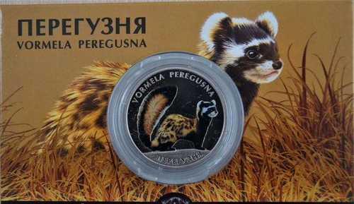 Перегузня.Украина.Флора и фауна