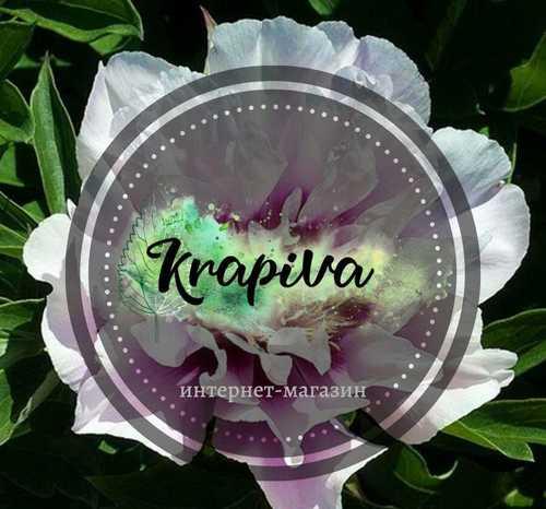 Пион ито-гибрид Кора Луис Paeonia Itoh Cora Louise