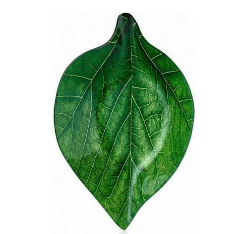 Салатник Oval Leaf 17.4x28.6 см, зеленый