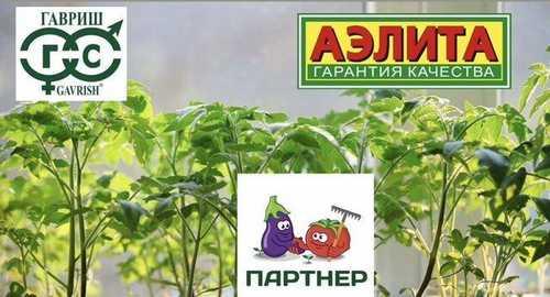 Рассада томатов (Партнер, Гавриш, аэлита)