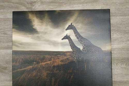 Картина на холсте 40х50см. Жирафы