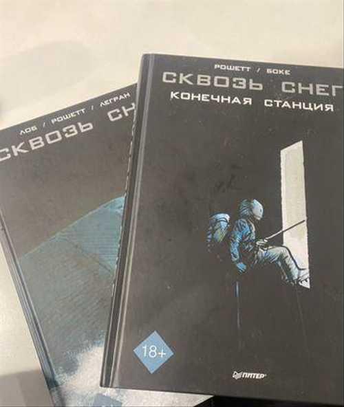 Книги сквозь снег