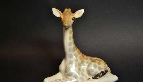Фарфоровая статуэтка Жираф лежащий