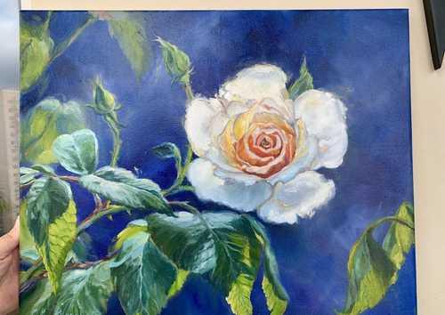 Картина Сияние розы, х.м. 40х50 Румянцева С.В