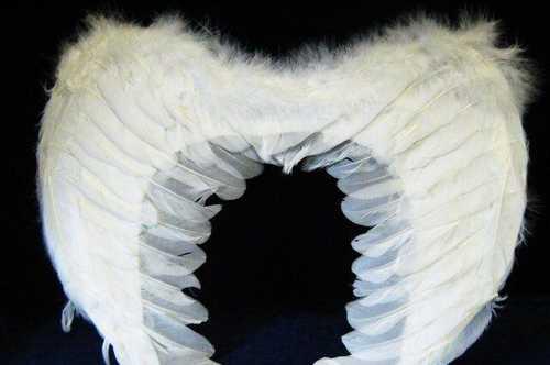 Крылья карнавальные Borosko перьевые, белые, 44-32 см (14-12-951)