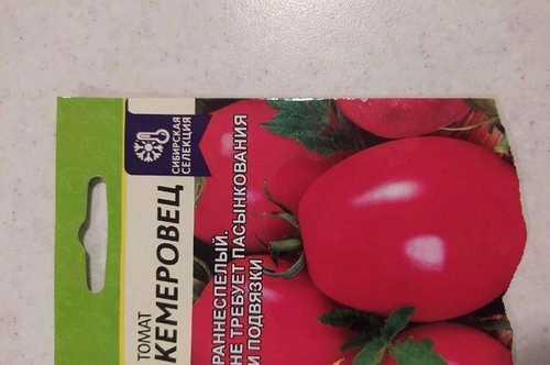 Рассада помидор томат