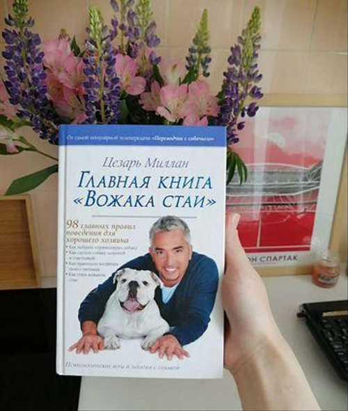 Главная книга вожака стаи Цезарь Миллан