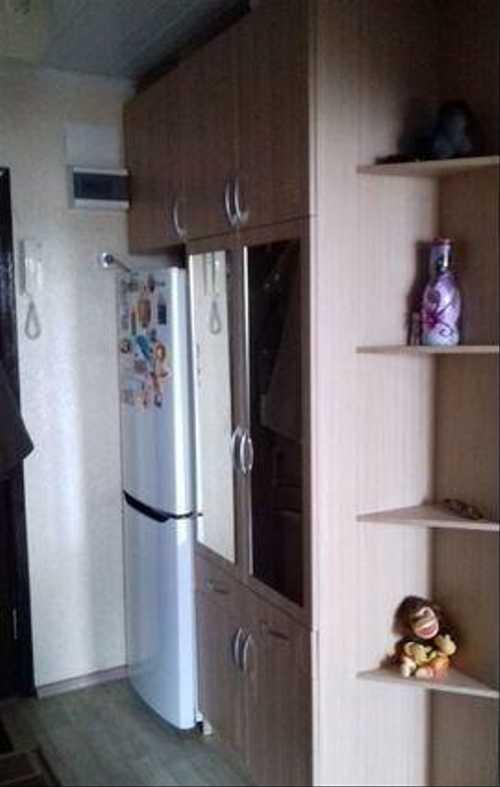 Холодильник В Прихожей Фото