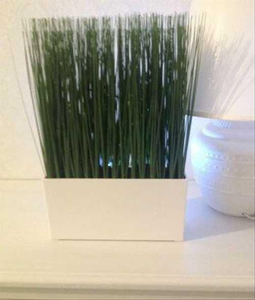 Новое Искусственное растение фейка IKEA трава 43см