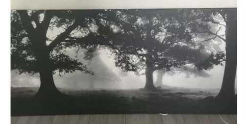 Картина икея лес IKEA фото холст