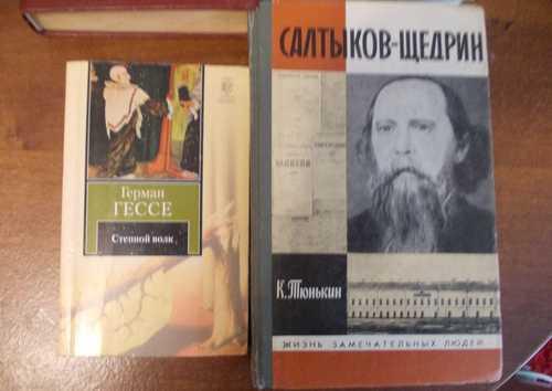 Книги, жзл, Гессе, Булгаков, словарь