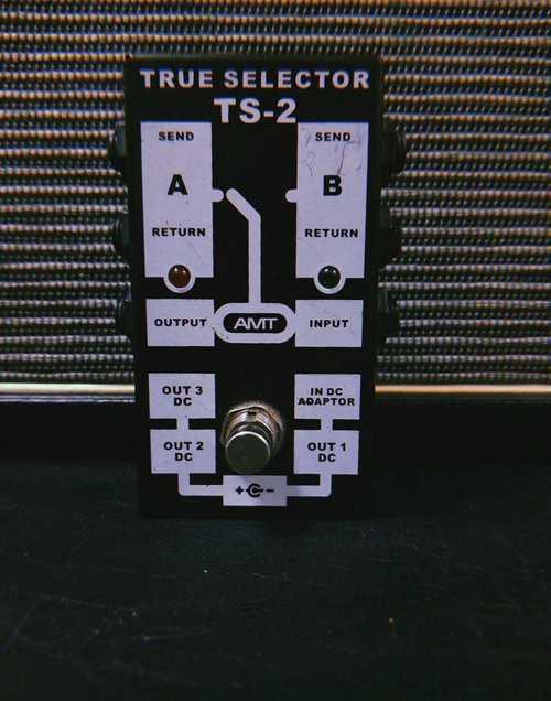 AMT True Selector TS-2