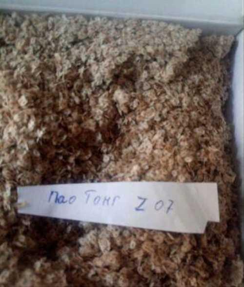 Набор семян: павловния Pao Tong Z07 и гибрид FTE