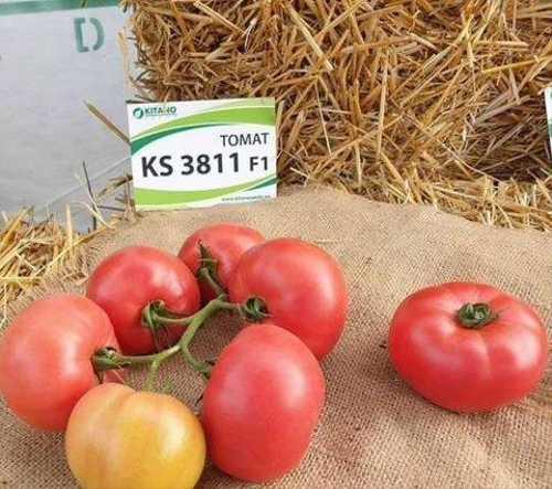 Семена томата KS 3811