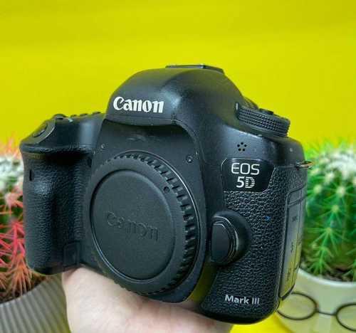 Canon 5D mark iii