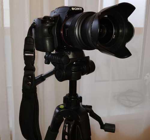 Sony a37