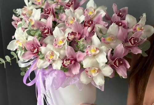 Роскошный бокс из орхидеи и эвкалипта