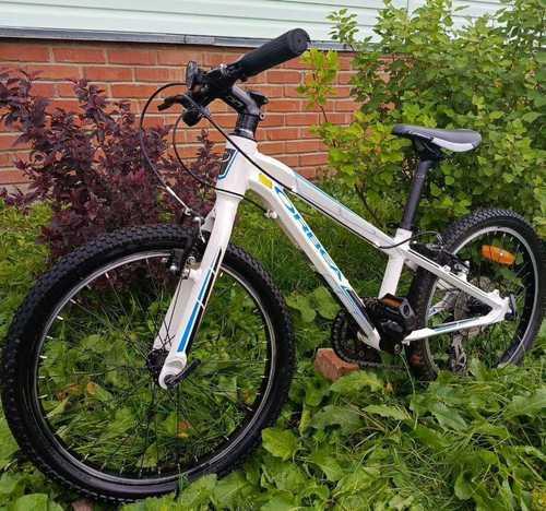 Orbea MX20 team