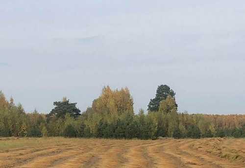 Эковата из растительного волокна Льноизол Flax