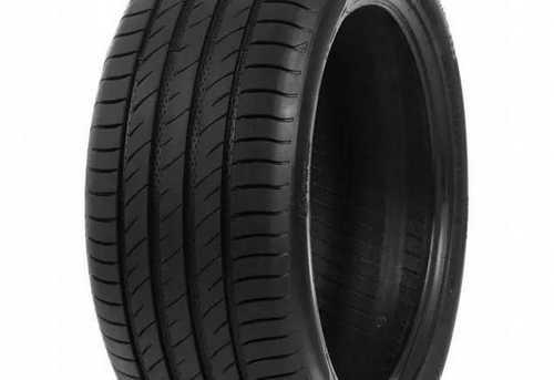 Delinte DS2 225/55 R17 101W