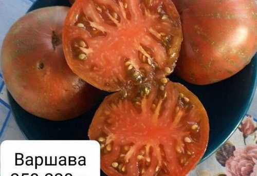 Семена томатов