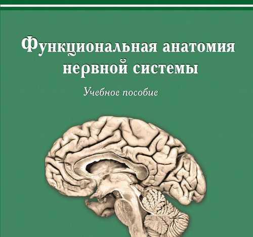 Функциональная анатомия нервной системы.Учебное по