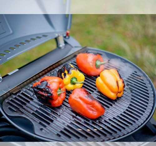 Газовый гриль O-grill 500mт bicolor black-silver +